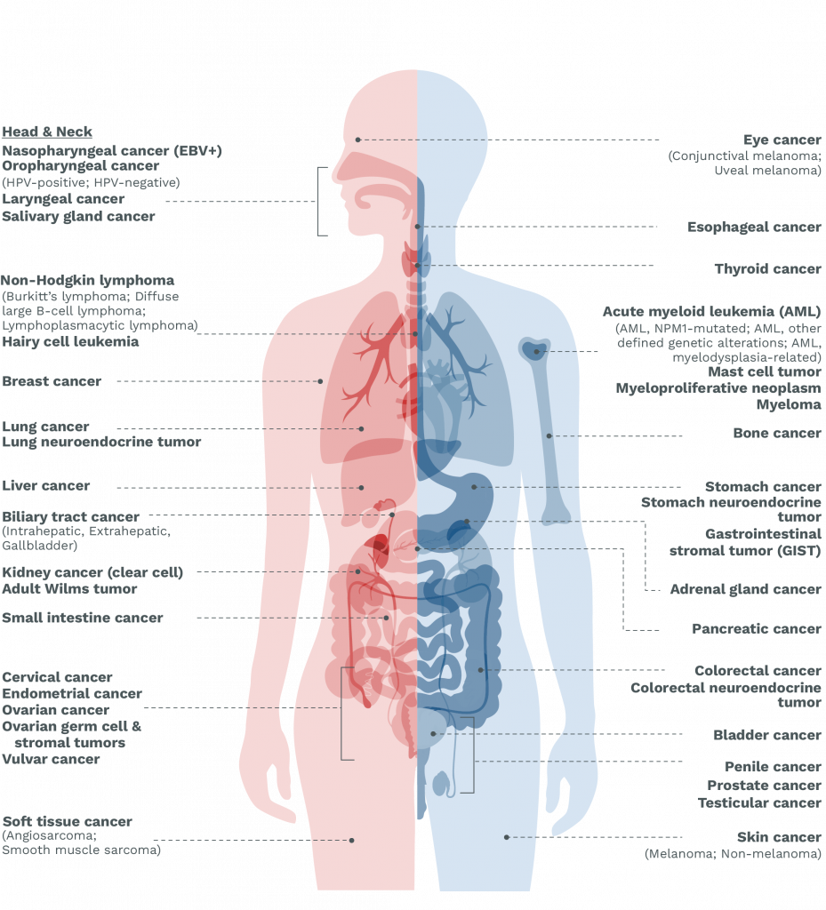 Cancer Screening - LucenceINSIGHTS™ - Fusion Medical